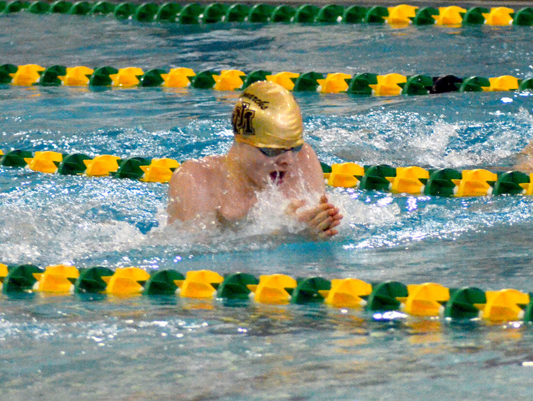 Brooke Girls Win OVAC Swimming Crown; Wheeling Park Boys Finish Second ...